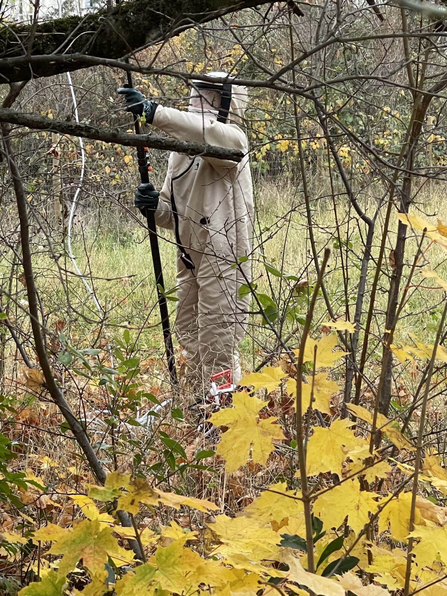 Votre Expert Anti-nuisibles et Dératisation 🐀 • Stop Nuisibles 38